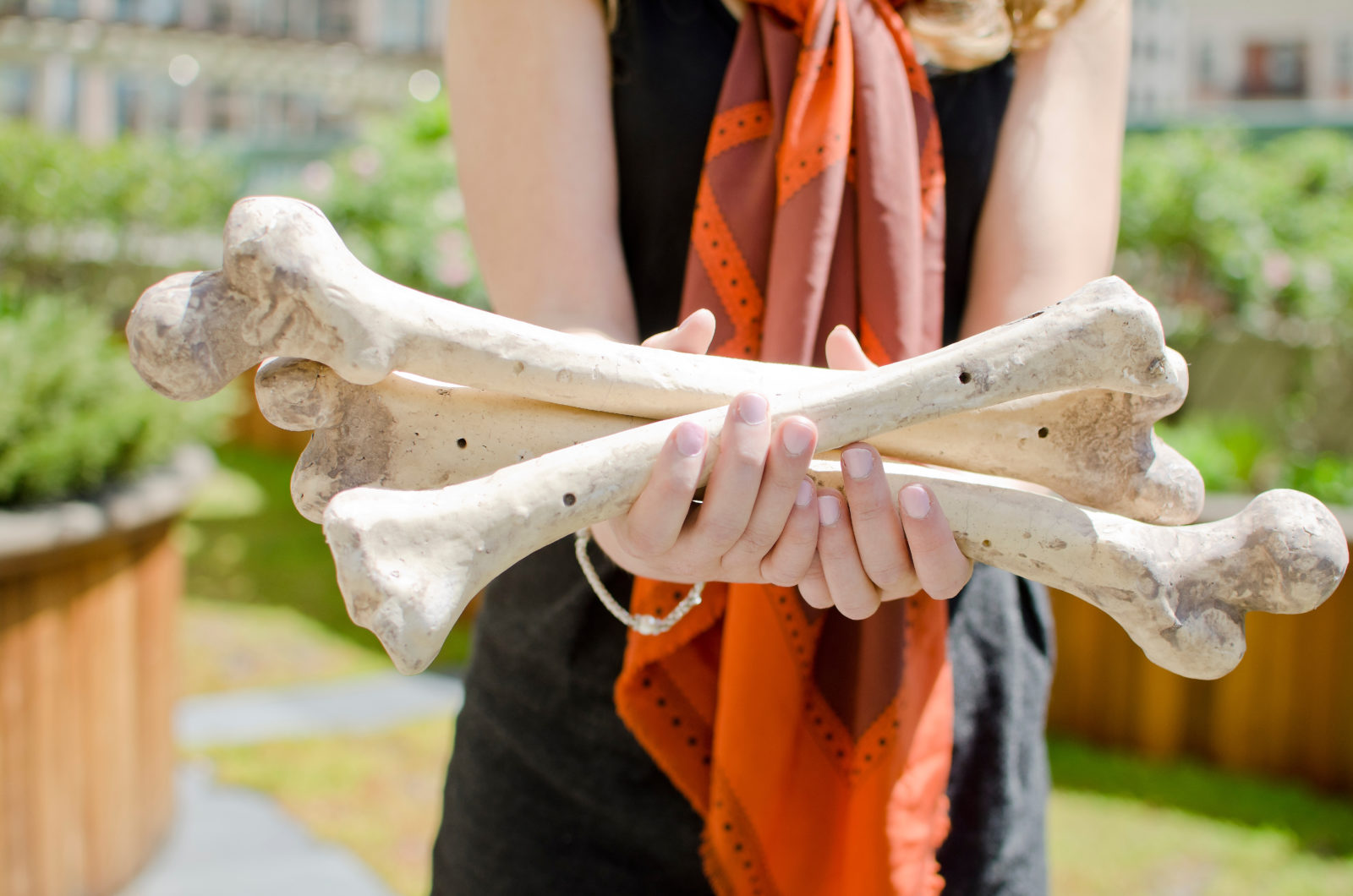 Redesign Launched! Introducing the New Know Your Own Bone - Colleen ...